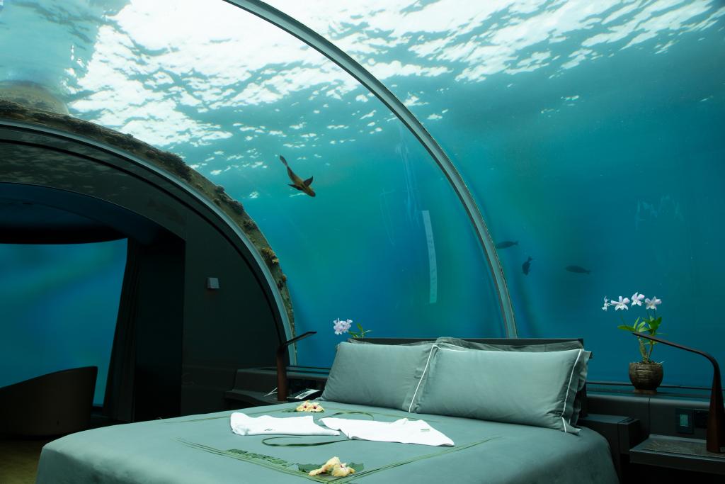 Showering with fish? RRU researchers the first to study underwater ...