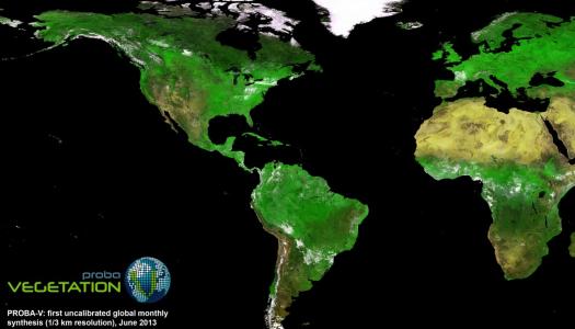 Vegetation coverage over North America | Royal Roads University